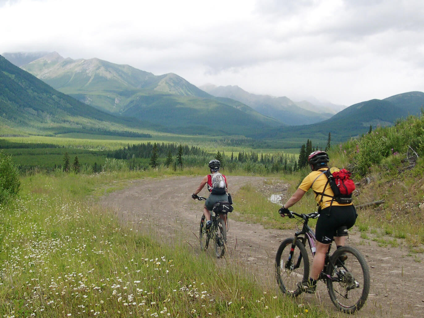 Trans Canada Trail in the Upper Elk Valley: The Elk Valley Trail from ...