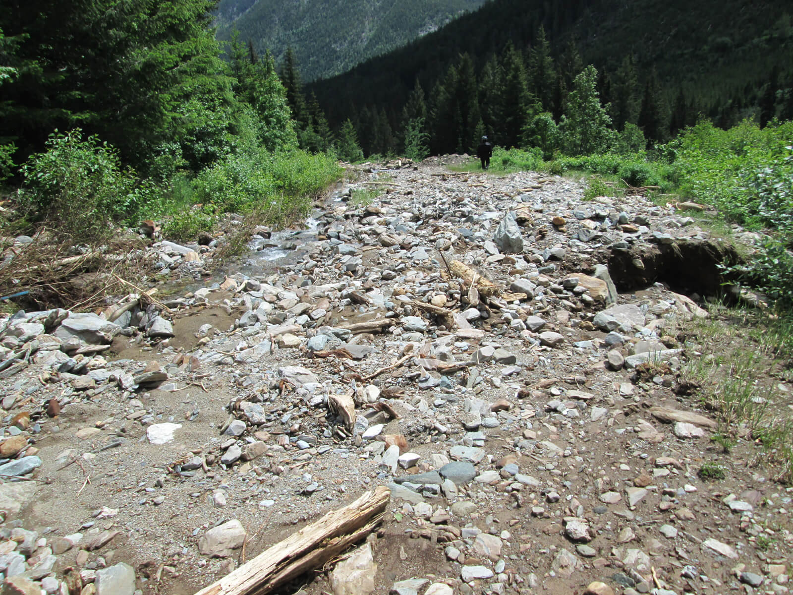 Trans Canada Trail over Gray Creek Pass: Gray Creek to Kimberley, 91 km ...