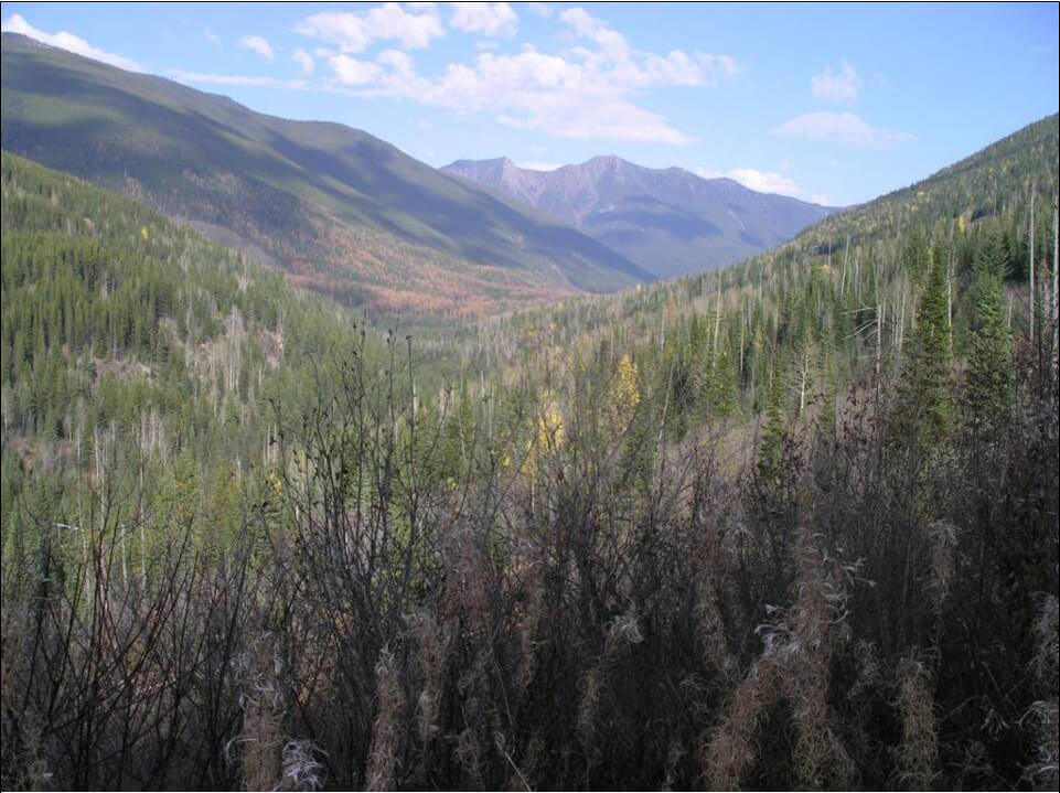 Trans Canada Trail over Gray Creek Pass: Gray Creek to Kimberley, 91 km ...