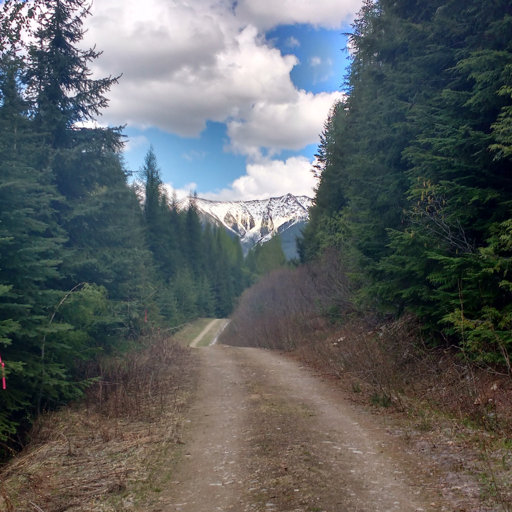 A Hiker's Route via Teck Powerline. Alternate Route to the Trans Canada ...