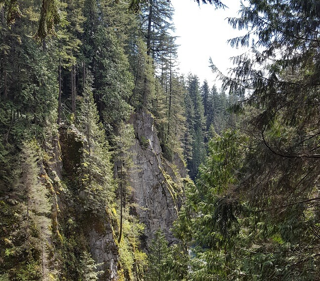 Capilano-Mosquito Creek HIKING/CYCLING TRAIL LOOP t63 - Trails BC