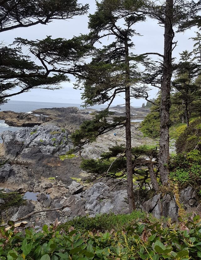 Wild Pacific Hiking Trail, Ucluelet - Trails BC