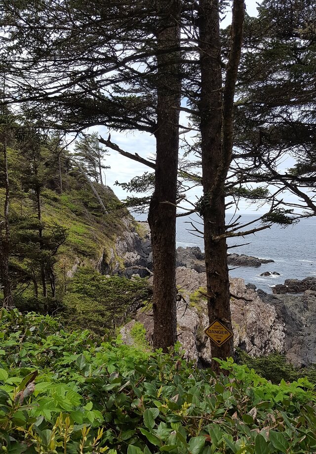 Wild Pacific Hiking Trail, Ucluelet - Trails BC